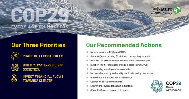 COP29: Your Guide to the 2024 UN Climate Change Conference