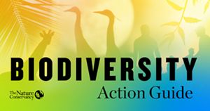 Download the Biodiversity Action Guide | The Nature Conservancy