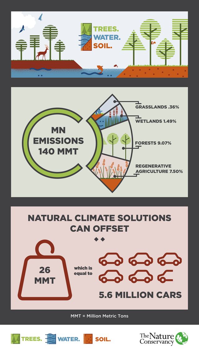 Trees. Water. Soil. | Natural Climate Solutions for Minnesota