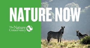 Nature Now | The Nature Conservancy