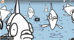 Removing Barriers for Healthy Rivers | The Nature Conservancy