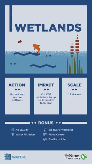 Trees. Water. Soil. | Natural Climate Solutions for Minnesota