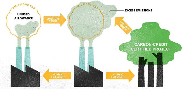 Planting Trees for Climate Mitigation | TNC in Idaho