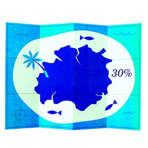 Blue Bonds for Conservation