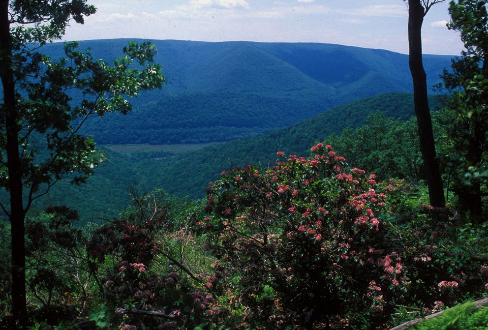 West Branch Forest Preserve | Scenic Views & Hiking Trails