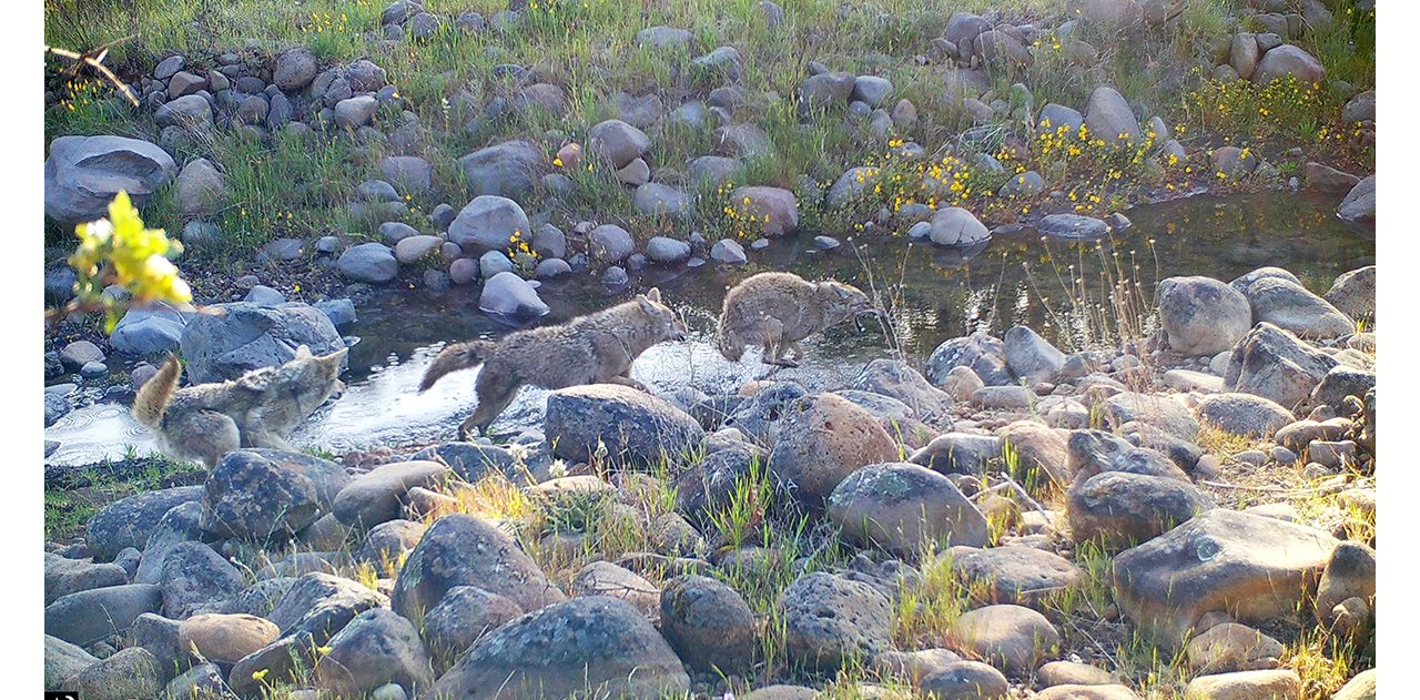 California Conservation Stories | The Nature Conservancy