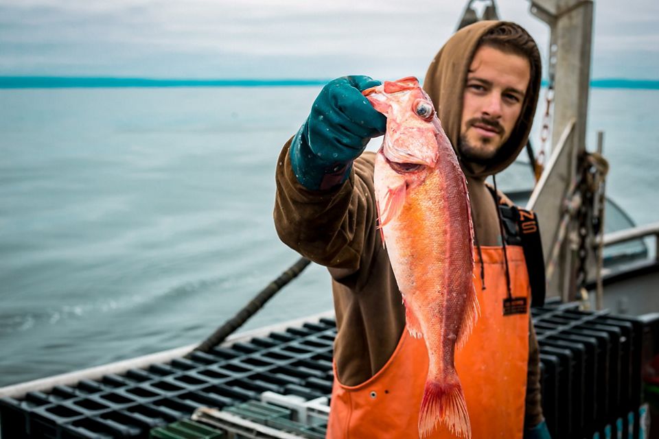 Transforming Ocean Conservation in California