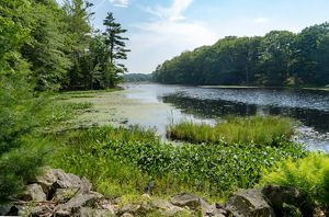 Berry Woods Preserve | The Nature Conservancy