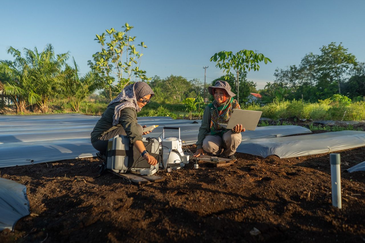 El poder de las turberas I The Nature Conservancy