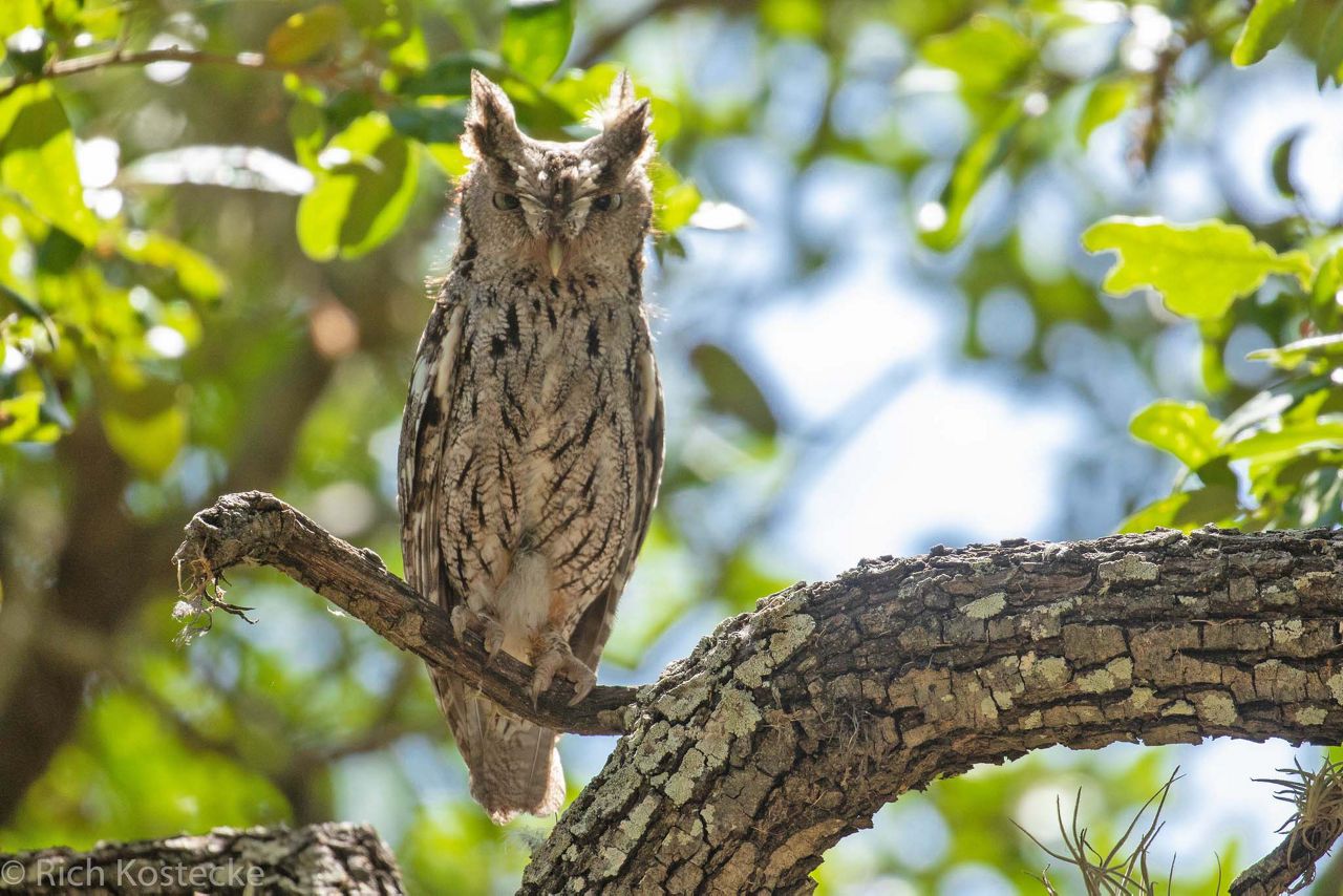 Dolan Falls Preserve | The Nature Conservancy