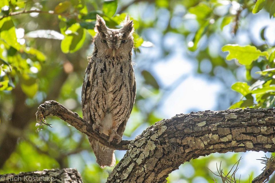 Dolan Falls Preserve | The Nature Conservancy