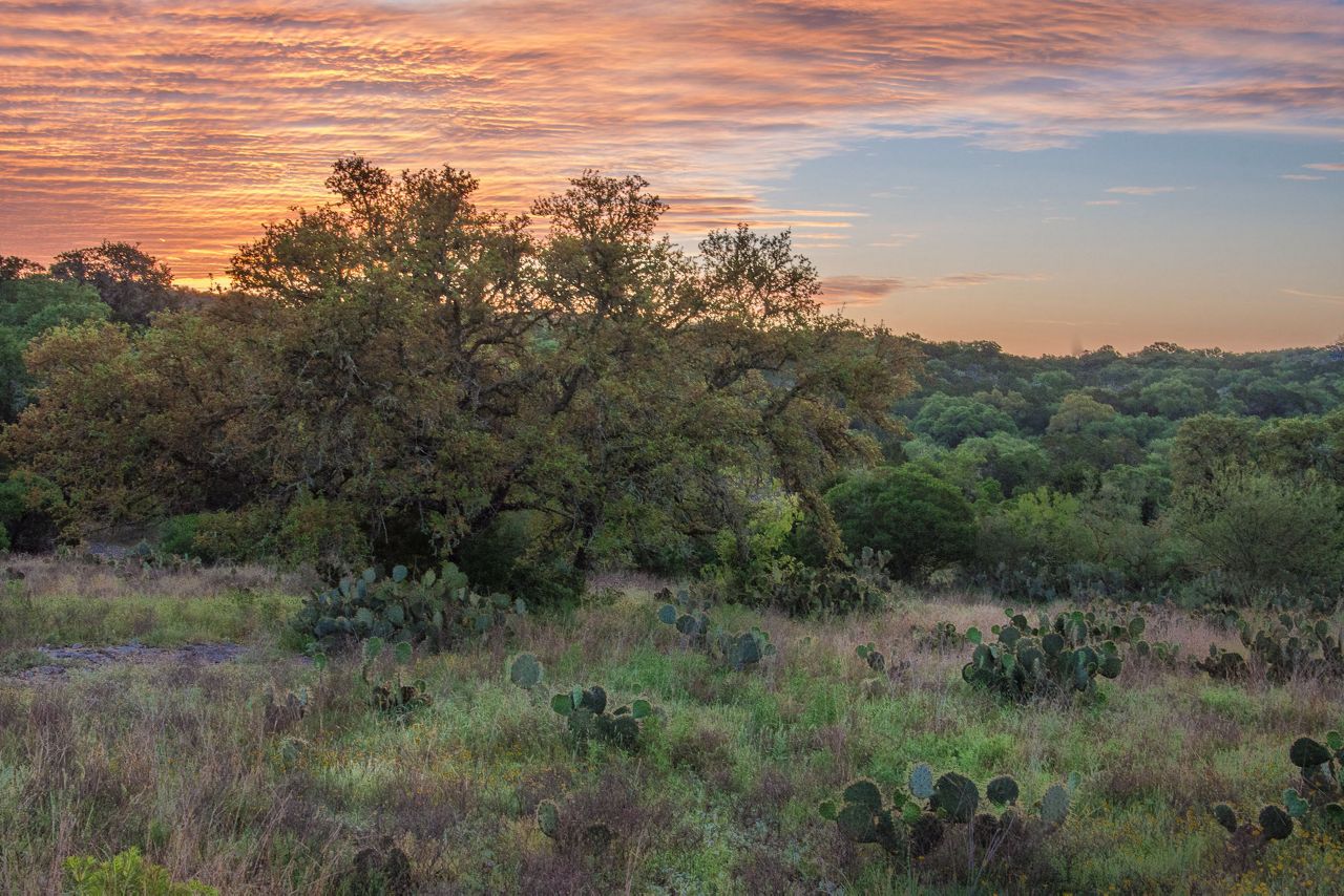 Frank Klein Cibolo Bluffs Nature Preserve | TNC