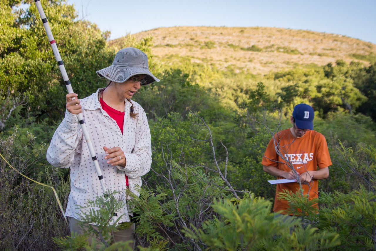 Dolan Falls Preserve | The Nature Conservancy