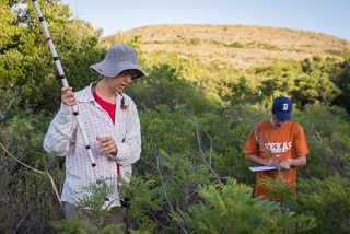 Dolan Falls Preserve | The Nature Conservancy