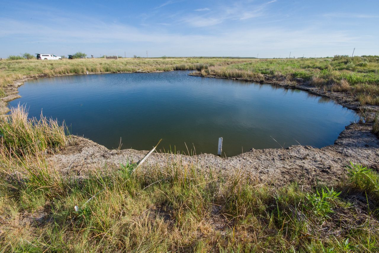 Diamond Y Spring Preserve | The Nature Conservancy