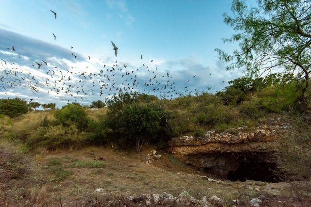 Eckert James River Bat Cave Preserve | The Nature Conservancy