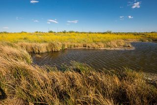 Diamond Y Spring Preserve | The Nature Conservancy