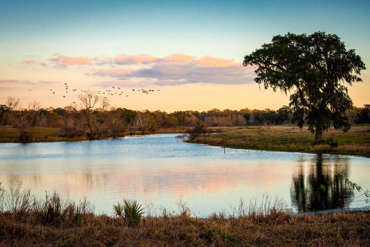 Brazos Woods Preserve | The Nature Conservancy