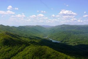 The Nature Conservancy in Kentucky