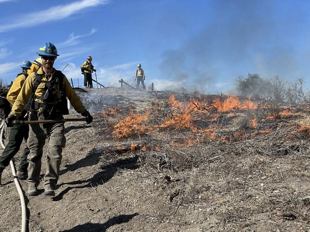 Stewardship and Land Management | Dangermond Preserve