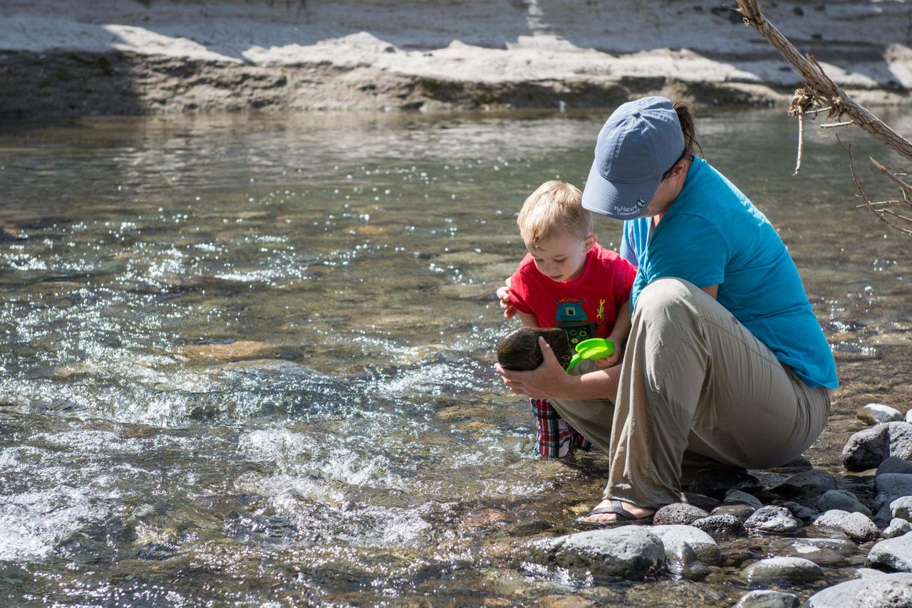 Wildlife of the Colorado River Basin | The Nature Conservancy