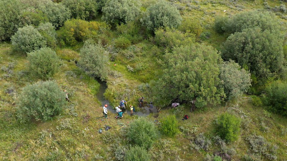 Nature Podcasts for All | The Nature Conservancy in Colorado