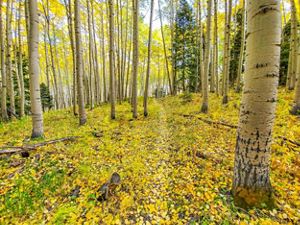 The Nature Conservancy in Colorado