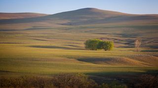 Flint Hills Initiative | The Nature Conservancy