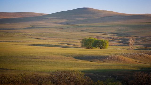 Flint Hills Initiative | The Nature Conservancy
