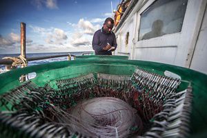 Transforming the Last Tuna Stronghold