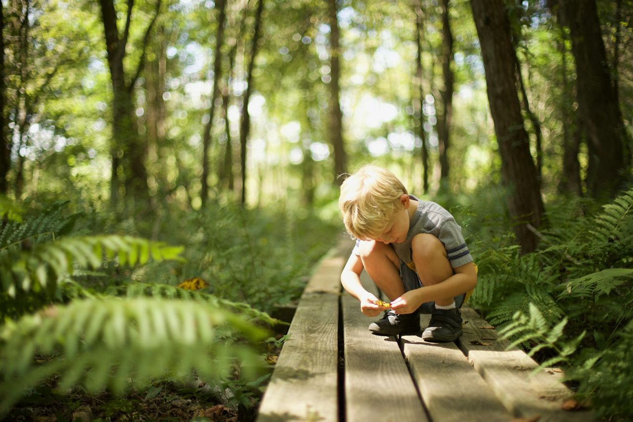 Brown's Lake Bog Preserve | The Nature Conservancy