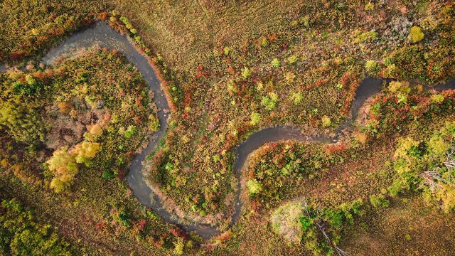 Big Darby Creek Headwaters Preserve | The Nature Conservancy