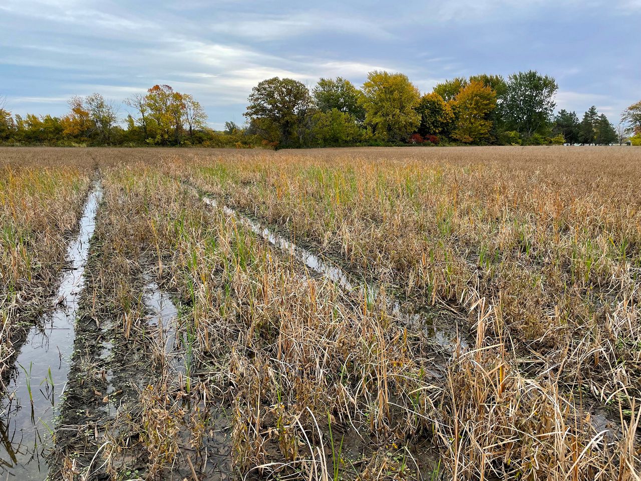 Protecting Places Crucial for Nature in Ohio