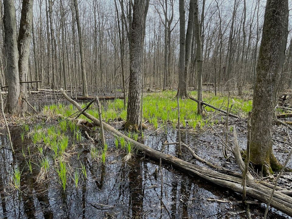 Protecting Places Crucial for Nature in Ohio