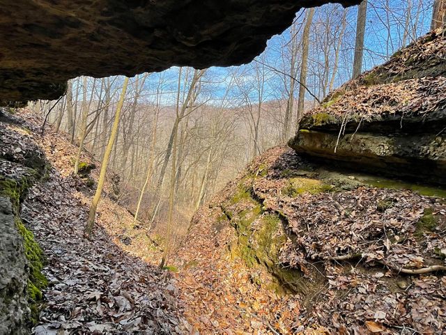 Protecting Places Crucial for Nature in Ohio