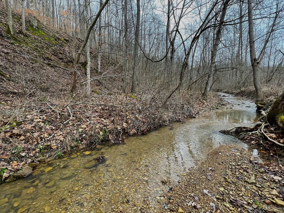 Protecting Places Crucial for Nature in Ohio