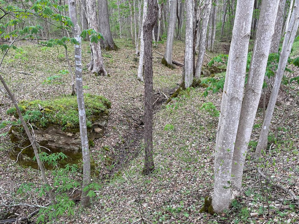 Protecting Places Crucial for Nature in Ohio