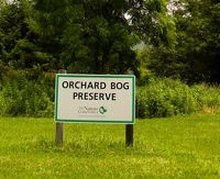 The Nature Conservancy's Orchard Bog and Quarry Bog