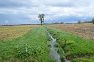 Acting on Climate Change in Ohio | TNC