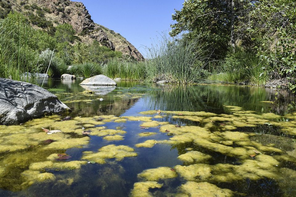 Destination Nature Podcast