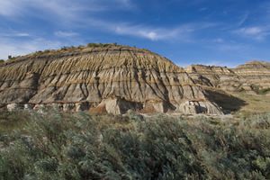 Central Plains Landscape