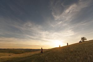 Central Plains Landscape