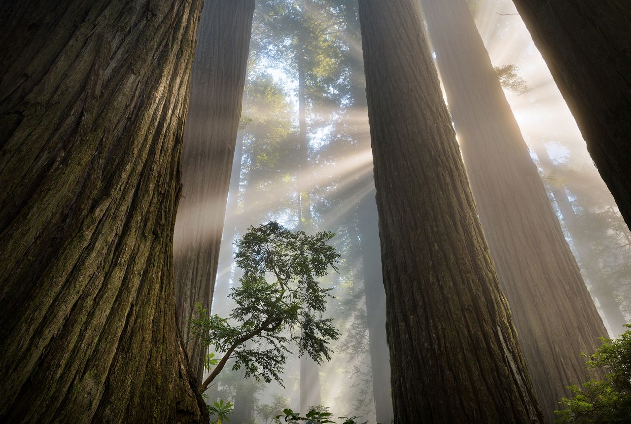 Photos: 6 Things We Love About Nature (That Aren’t Animals)