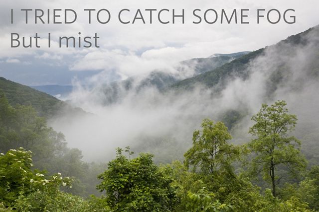 Dad Jokes So Corny You’ll Want to Make like a Tree and Leaf