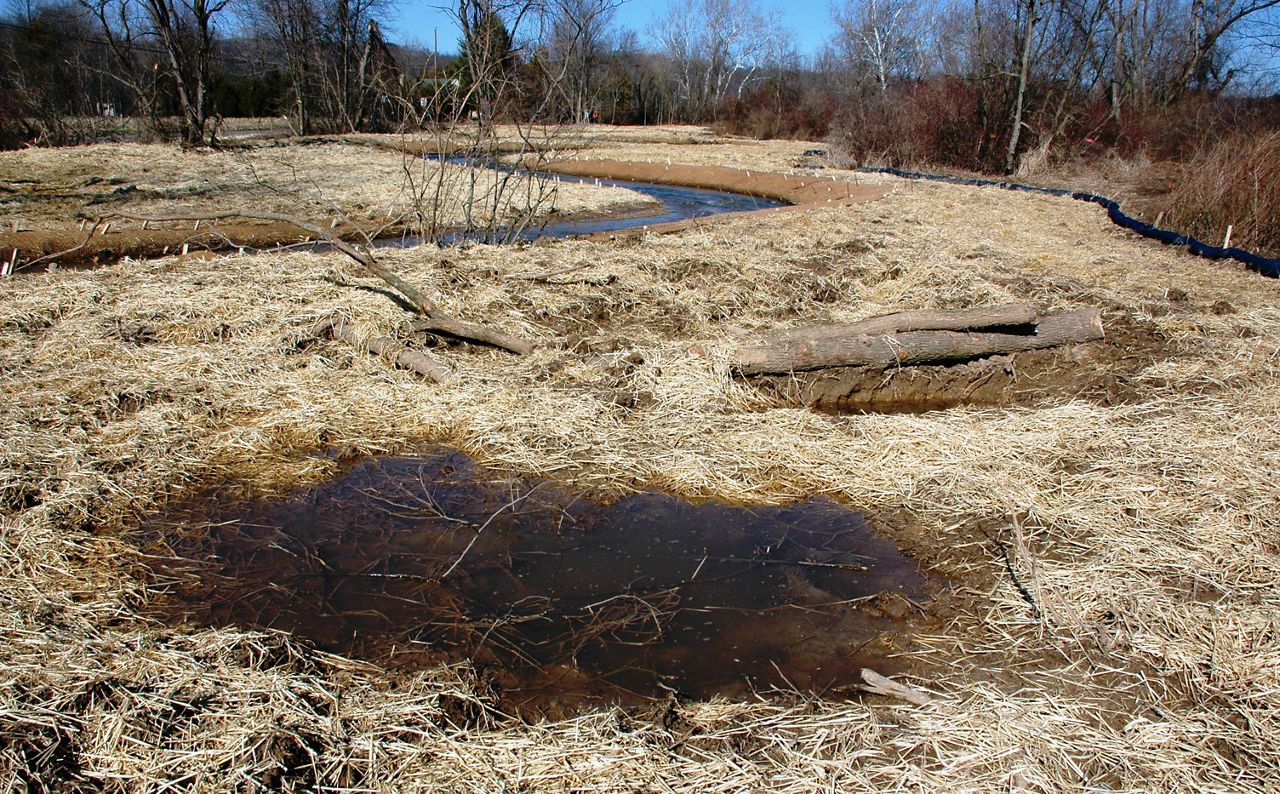 Acopian Preserve | The Nature Conservancy in PA/DE | Bog Turtle