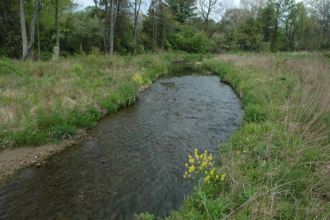 Acopian Preserve | The Nature Conservancy in PA/DE | Bog Turtle