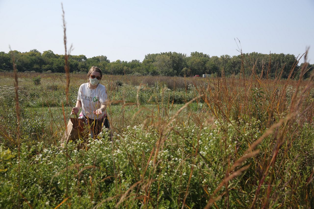 Midewin National Tallgrass Prairie | The Nature Conservancy in IL