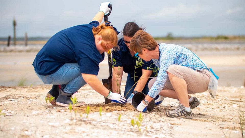 Policy Positions | The Nature Conservancy in Alabama