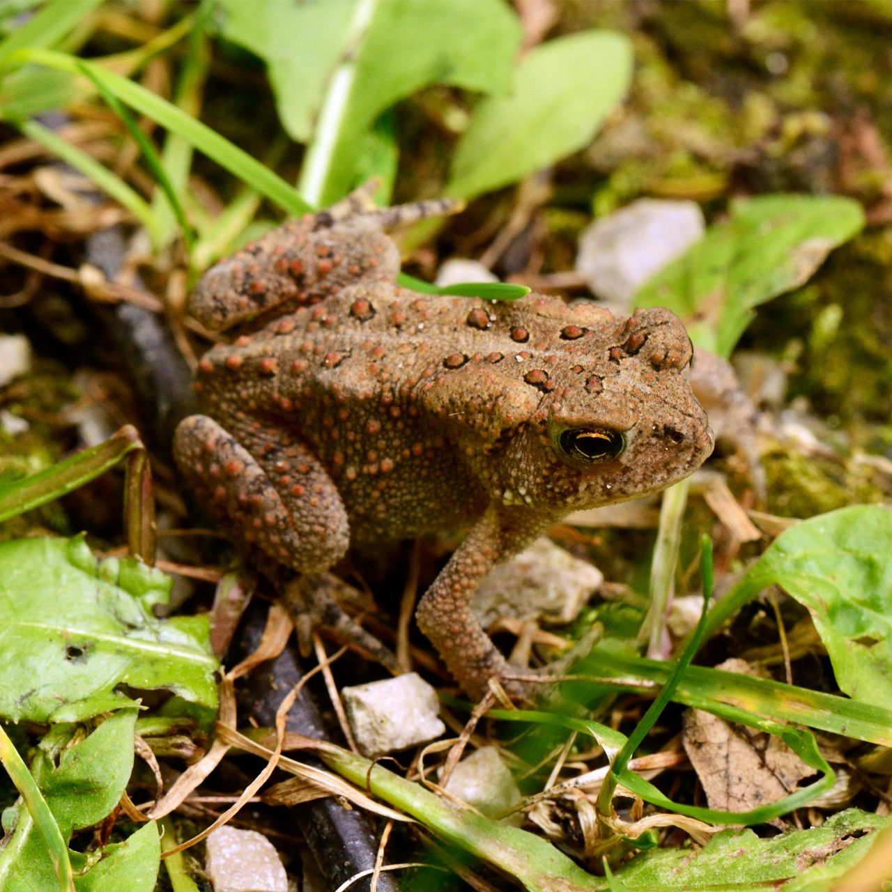 Mink River Preserve | The Nature Conservancy in Wisconsin