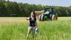 TNC Names Amy Jacobs as New Chesapeake Bay Program Director